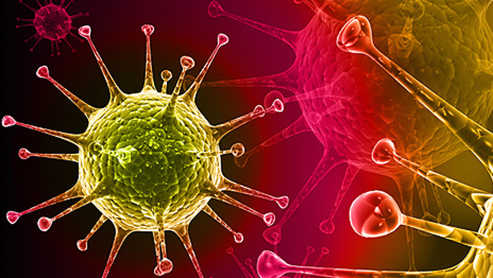 Condilomas · Centro Proctológico Dr. Germán Vázquez